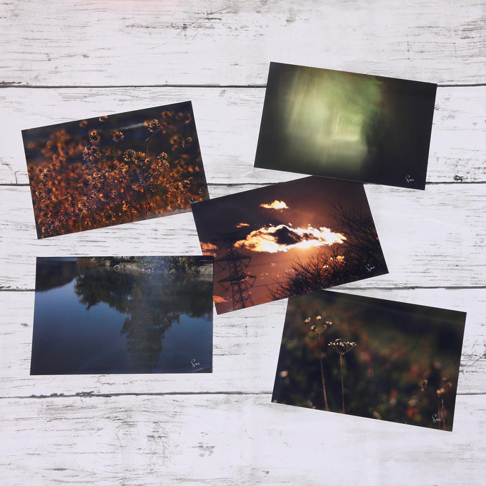 Sui Photo Laboratory : アーティスト紹介 : [ Spinart（スピナート） ] - あらゆる表現者・アーティストと ...